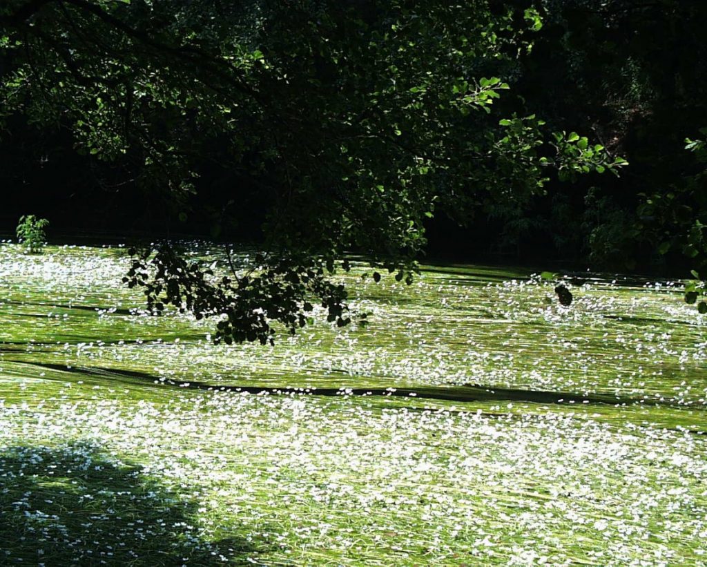 River corridors – LIFE Fluvial